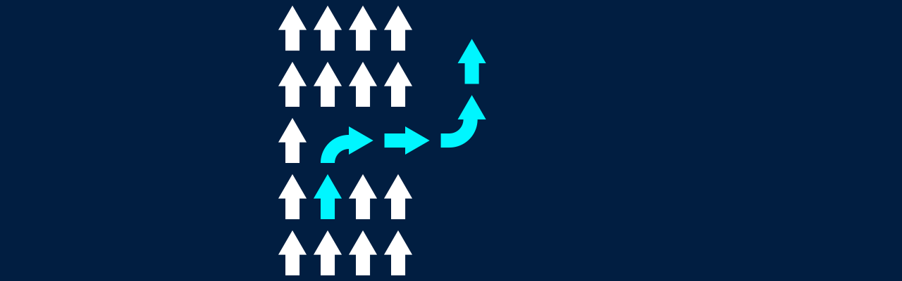 The Leadership Challenge - The Imperative to Challenge the Process